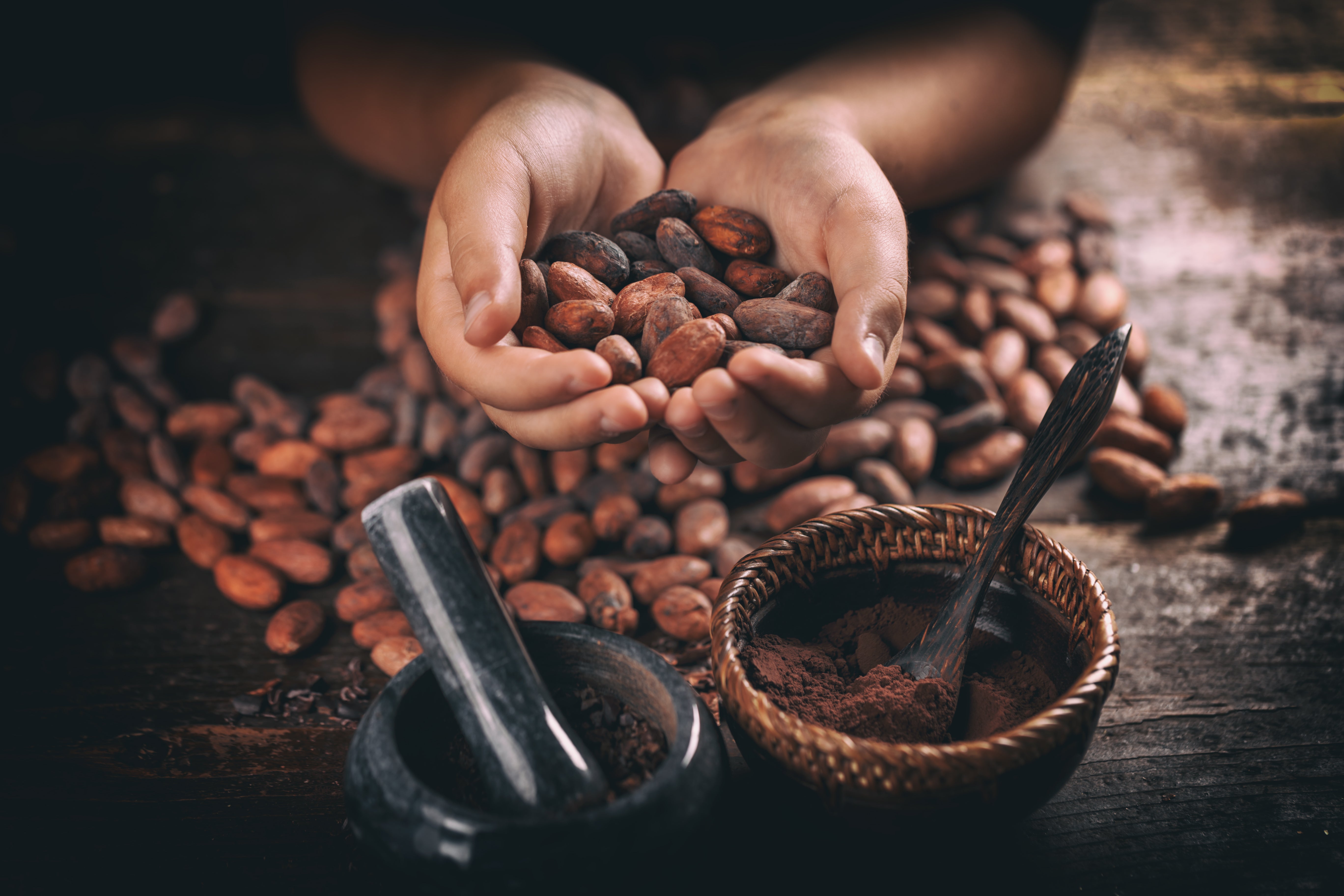 Children Of Mother Cacao – Island Tribe Wellness